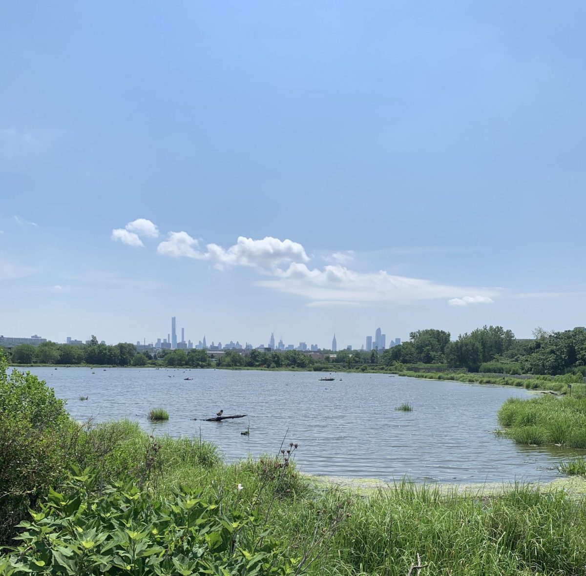 Member Feature: Hackensack Riverkeeper – Environmental Education ...