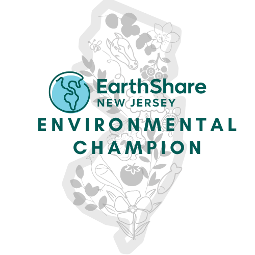 Environmental Champions – Environmental Education, Volunteerism, and ...