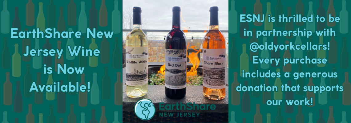 Environmental Education, Volunteerism, and Philanthropy – Cleaner ...